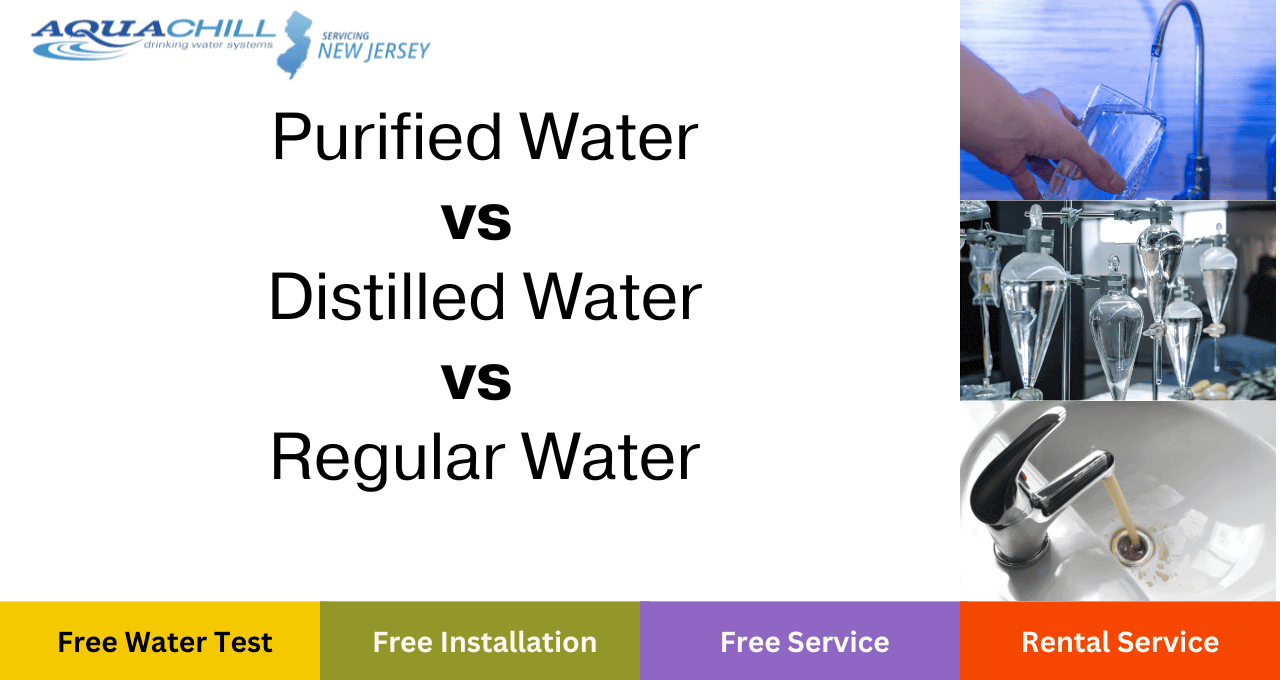 Key Differences of Purified vs Distilled vs Regular Water